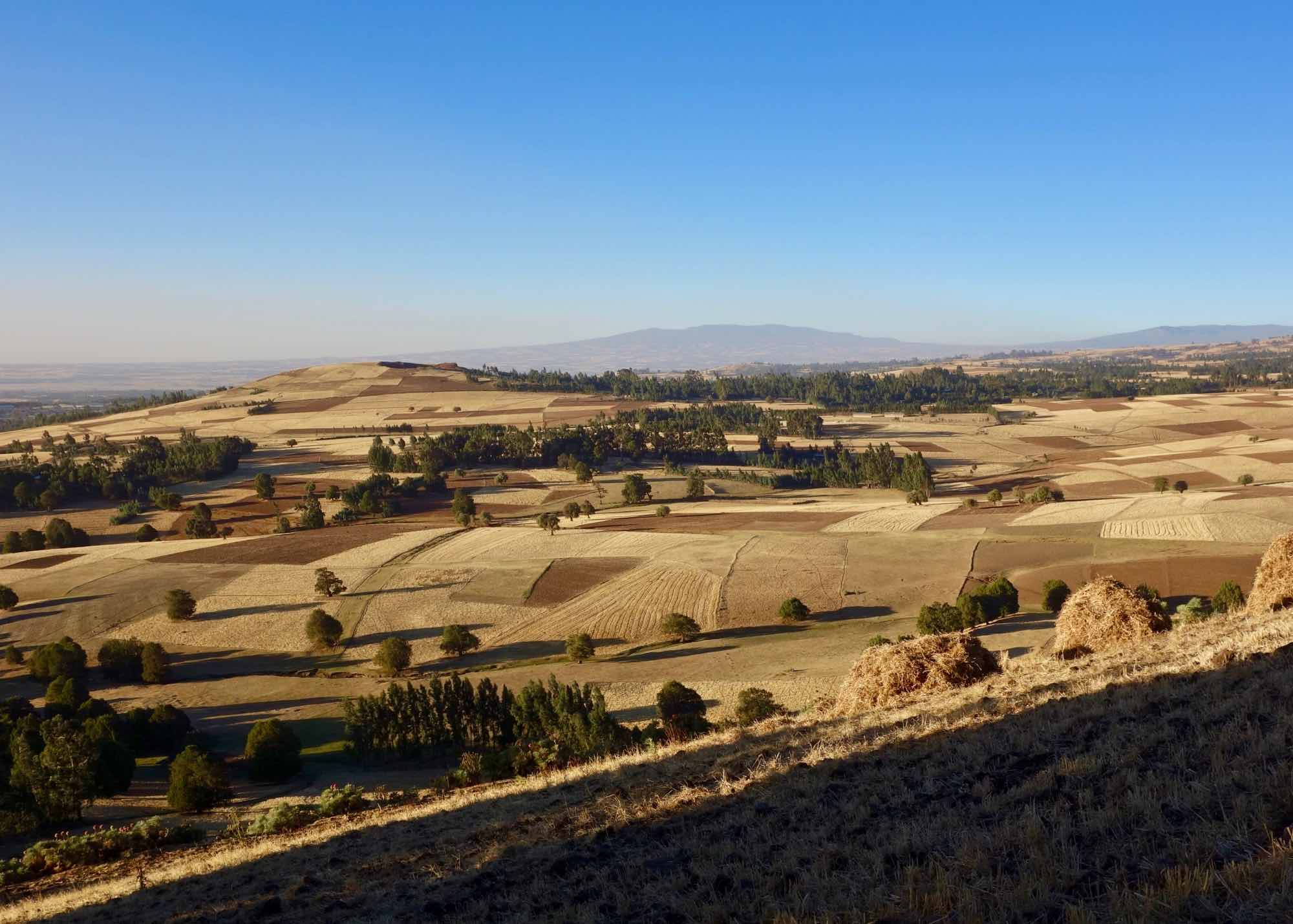 Jaybird Daily Dispatch: Bekoji, Ethiopia – iRunFar